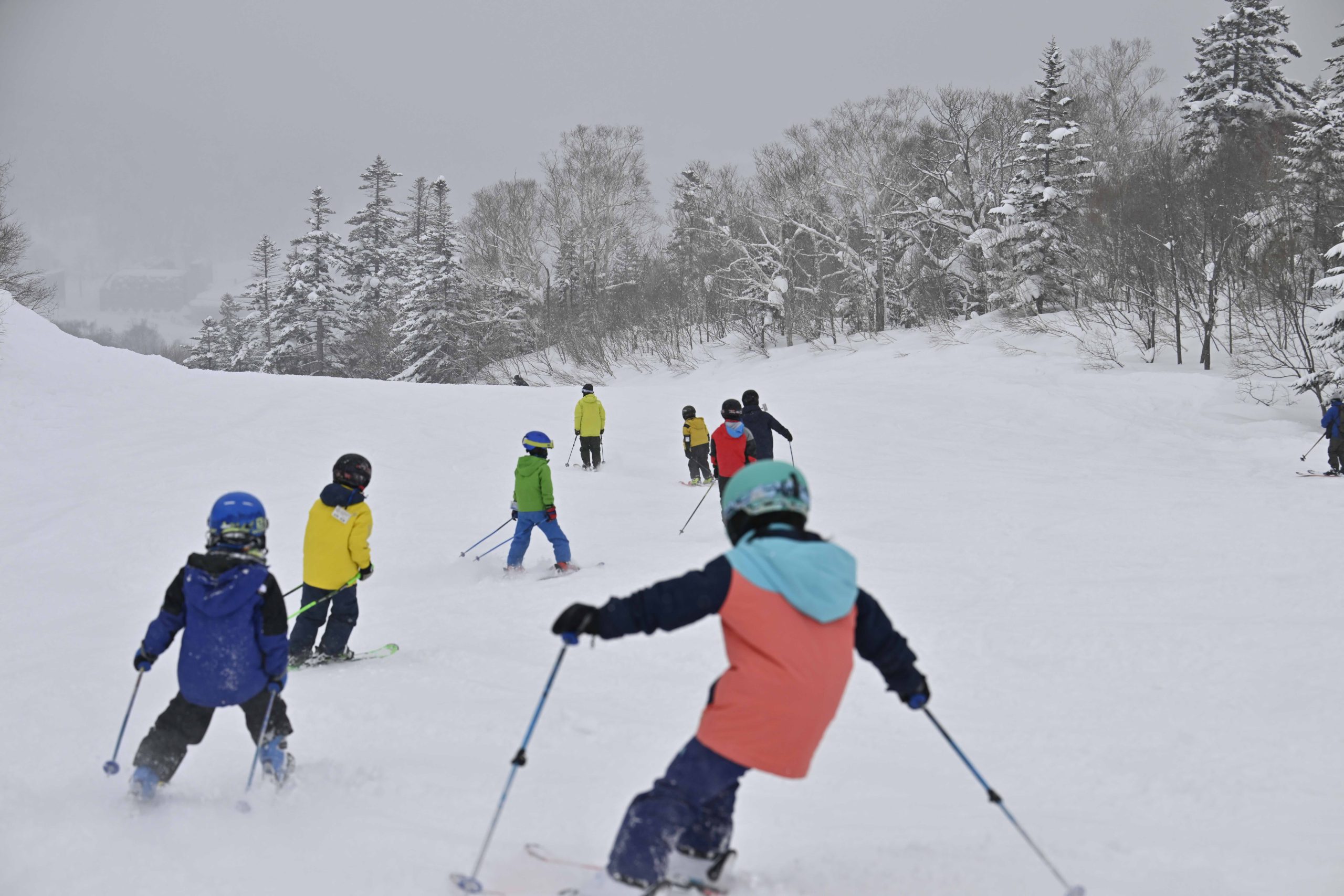 KIDS NATURE SCHOOL+ キッズ ski & snowboard inキロロスノーワールド 北海道 | THE NORTH ...